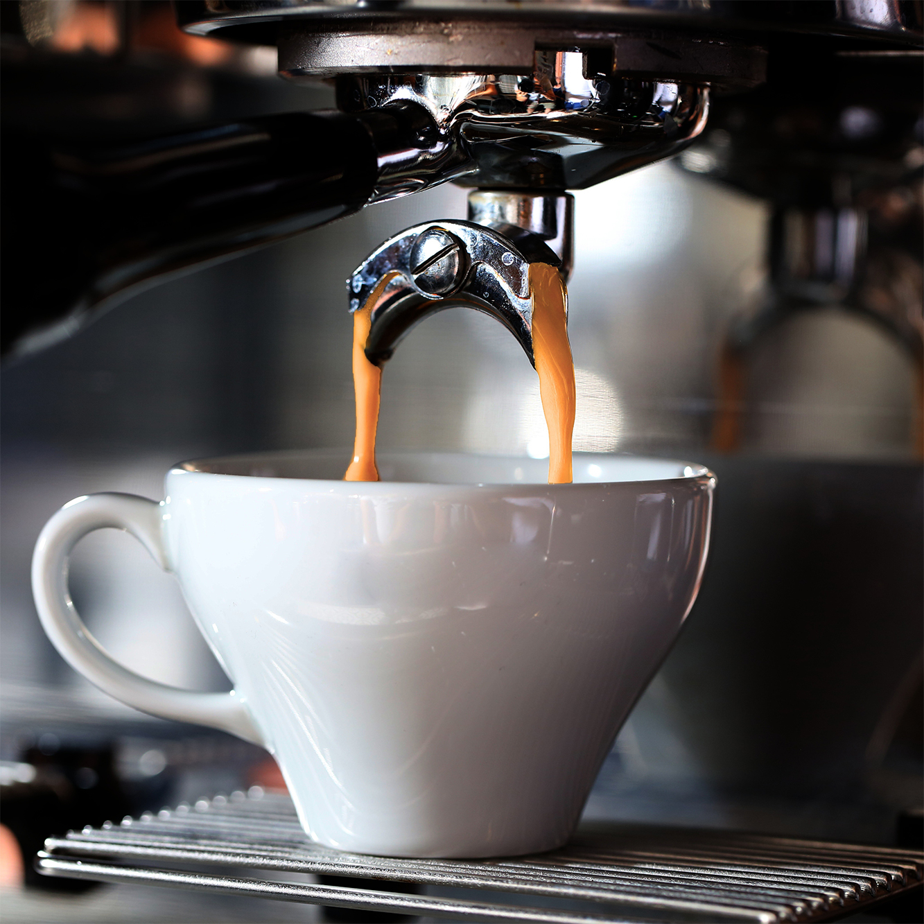 Accueil - Ratatouille